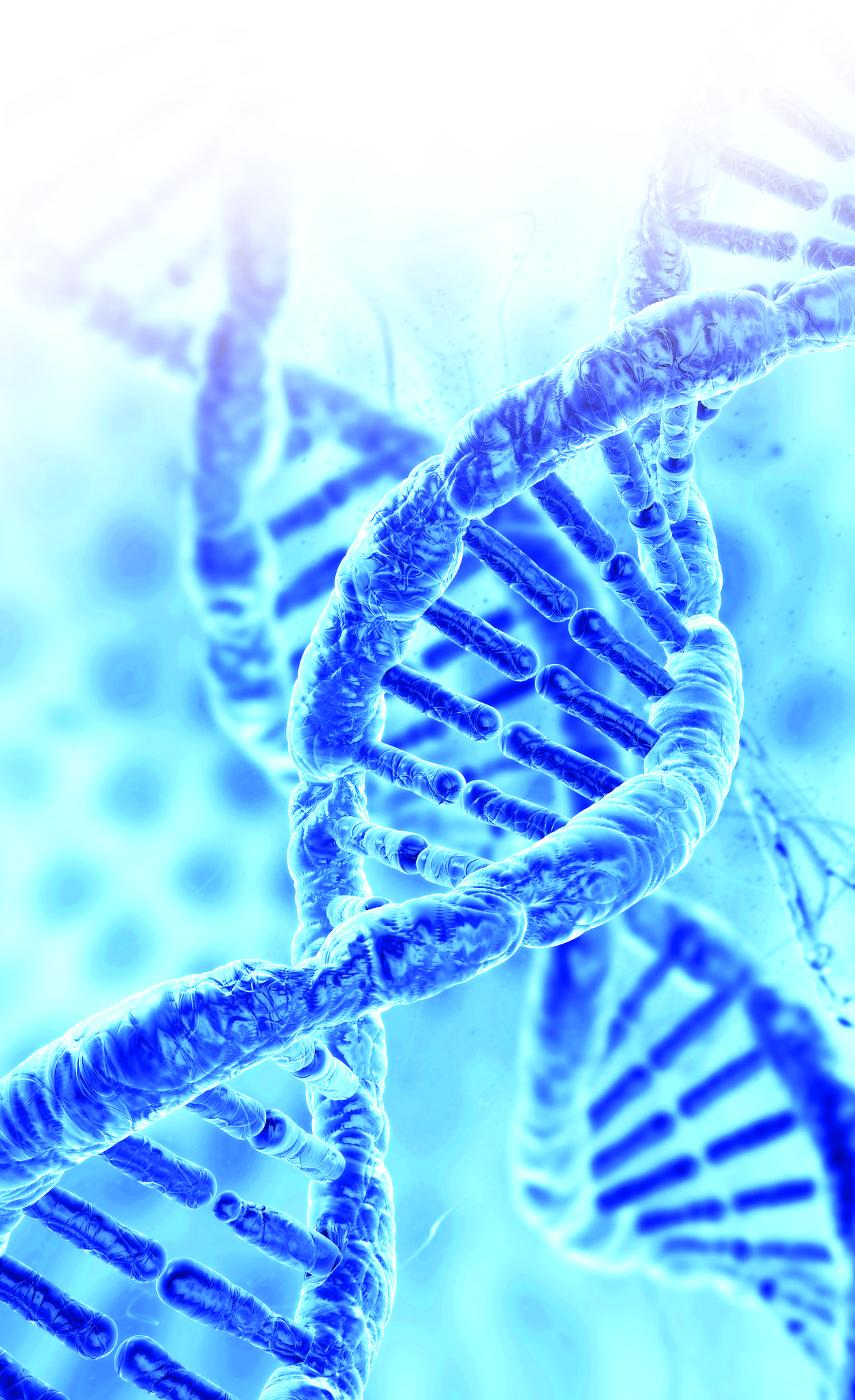 Plaquex - The Anti Aging Treatment for Cells and Heart • Southwest ...