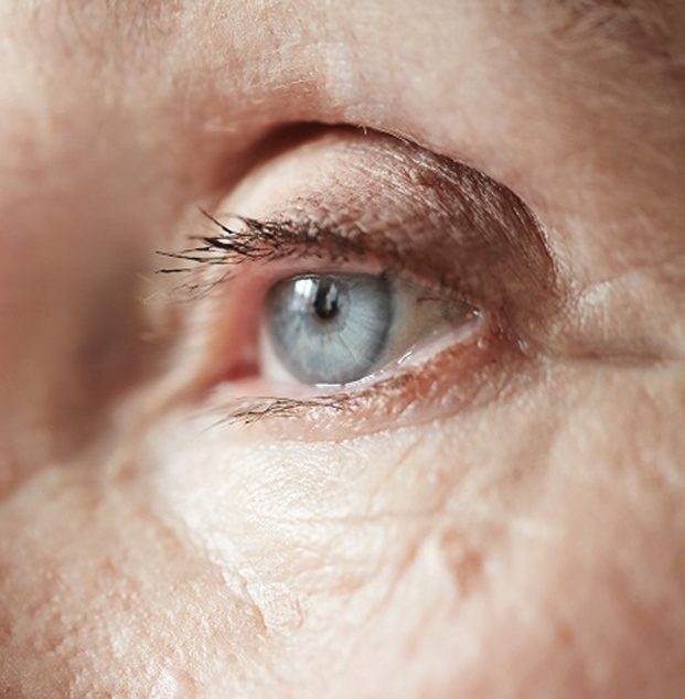 Diagnosing Retinal Artery Occlusions May Save Your Life! • Southwest ...