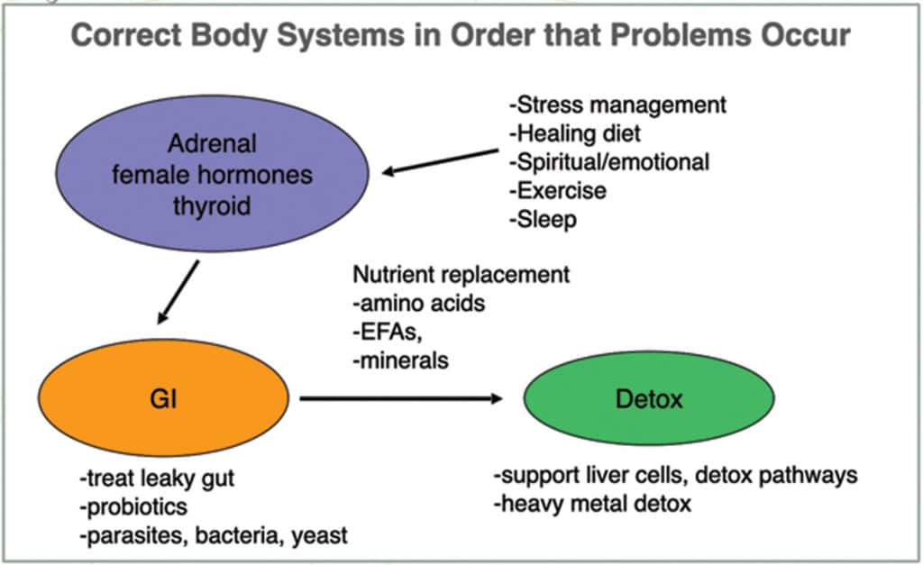 The Three Major Triggers of Illness and the Three Organ Systems They ...