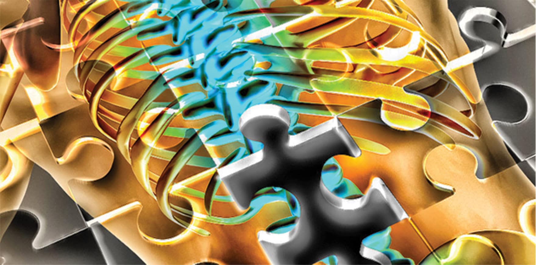 The Lumbar Spine Puzzle: Interventional Pain Management • Southwest ...