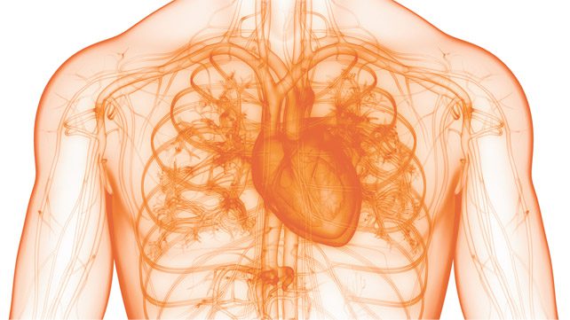 Do You Ever Have Heart Palpitations or Sensations of Fluttering in your ...